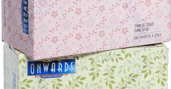 ONWARDS FACIAL TISSUE 2PLY (4BOXx200s)